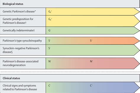 A Biological Classification Of Parkinsons Disease The Synneurge Research Diagnostic Criteria