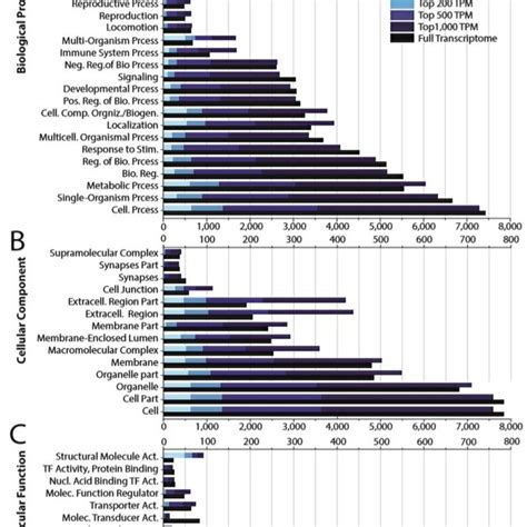 A Venn Diagram Illustrating Reciprocal Blast Comparisons Between The Download Scientific