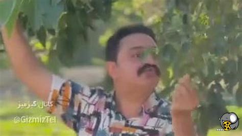 خانوادگی بالای درخت توت زندگی میکنن😄 فیلو