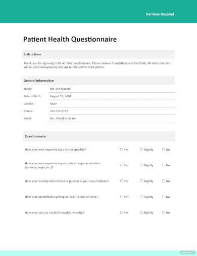 Questionnaire 1