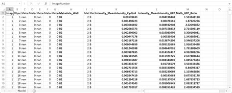 screen capture of the output file nuclei csv when opened in microsoft