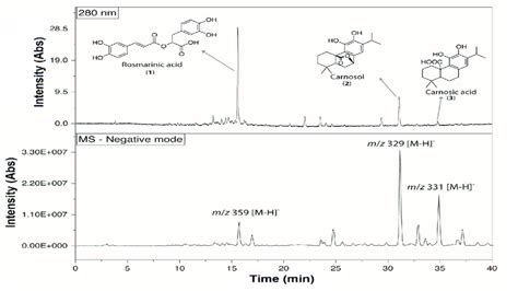 Chromatogram 280 Nm And Total Ion Chromatogram Tic Obtained In The