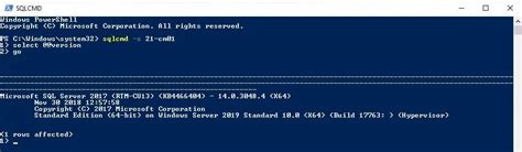 Powershell Check Sql Server Version