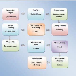 Overall QIIME Pipeline Work Flow Download Scientific Diagram