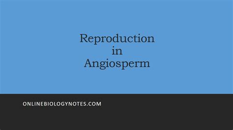 Reproduction In Angiosperm And Reproductive Structures Online Biology Notes