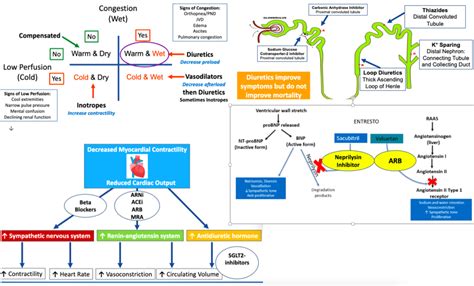 12 Treatment Of Hf Diagram Quizlet