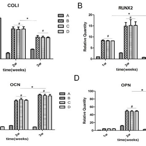 A Coli Expression B Runx2 Expression C Ocn Expression D Opn