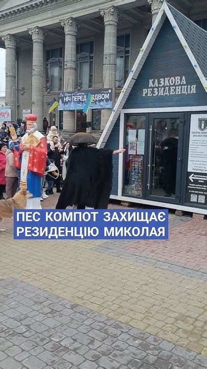 Пес Компот захищав будиночок святого Миколая Youtube
