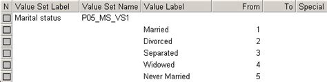 recodes in tables using value sets and subtables cspro user s guide