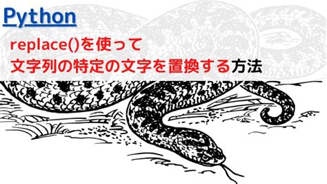 [python]文字列 string の先頭に文字を追加する add characters to string at beginning には
