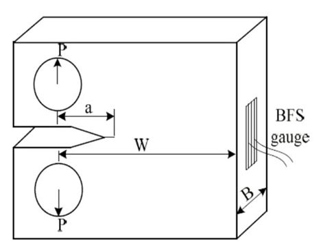 Schematic Demonstration Of Bfs Measurement At The Back Of The Sample