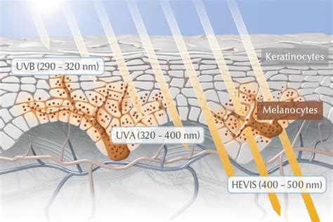 How To Prevent Photoaging Sun Protection Eucerin