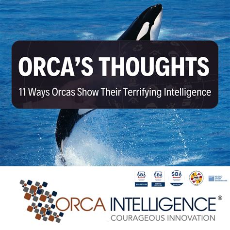 Orca Intelligence On Linkedin Artificialintelligence Orcaintelligence Businessanalysis 8a