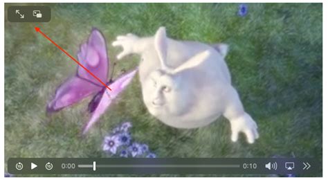 Embedded Video Cannot Be Maximised Or Played Picture In Picture Issue SafeExamBrowser