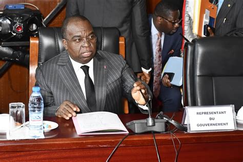 National Assembly Minfi Boss Presents Medium Term Economic Budget