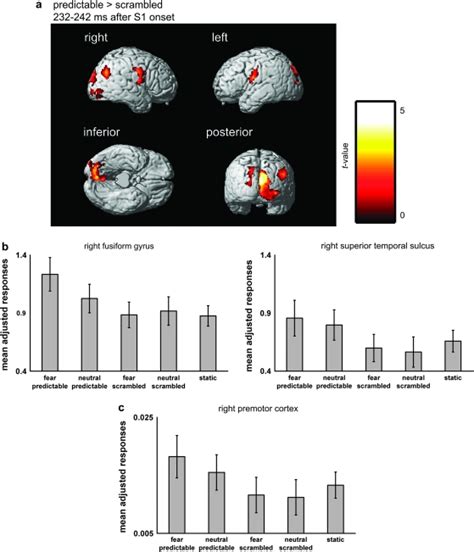 Source Space Effects Around 237 Ms A Statistical Parametric Map Of