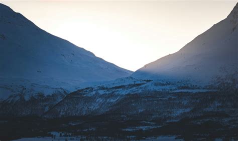 Cs Rdbms와 Nosql의 차이