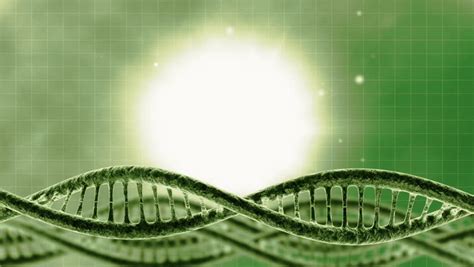 Animated Growth Of D DNA Molecule With An Alpha Channel Intro Freestock Videos