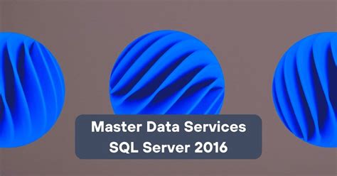 Master Data Services Sql Server 2016 Telefónica Tech