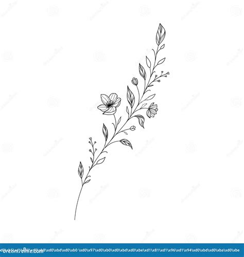 Tattoo Jasmine Flower Drawing Outline Jasmine Flower Tattoo Simple Jasmine Flower Tattoo