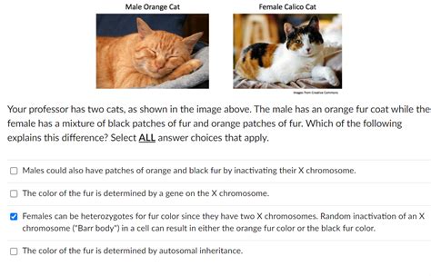 Solved The Structure And Number Of Sex Chromosomes Vary In Chegg Com