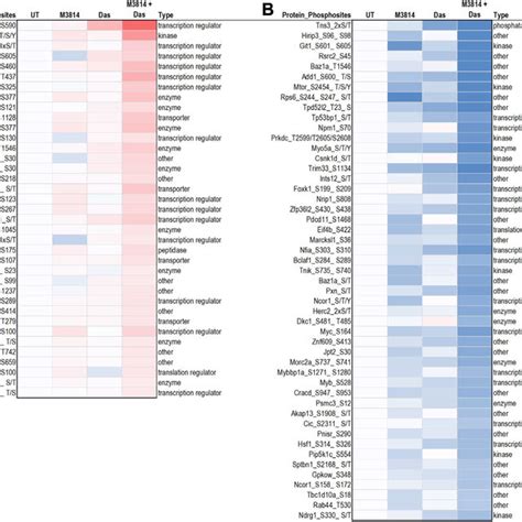 Quantitative Phosphoproteomic Analysis Of Mutant Kit D816v Fdc P1 Download Scientific Diagram