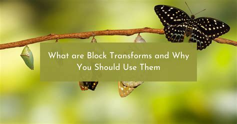 What Are Block Transforms And Why You Should Use Them Dlx Plugins