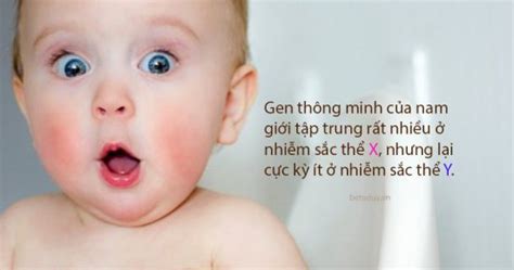 Con trai thừa hưởng trí thông minh của mẹ có đúng không Kho tài