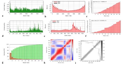 Molecular Dynamics Simulation Analysis A C The Deformability