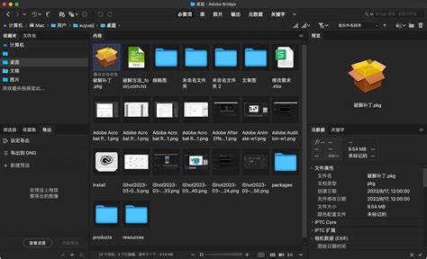 ida free for mac v8 3 反汇编逆向神器 nobyda