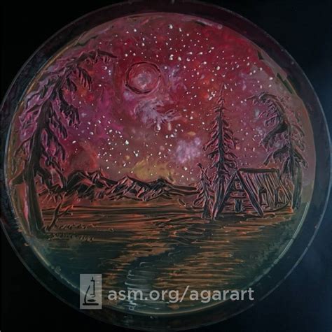 Asm Tiny Tigers Hays Ks