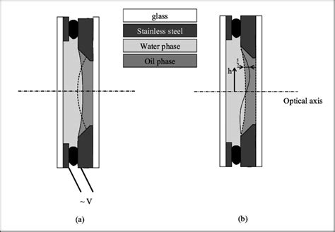 How Liquid Lens Work At Kurt Davis Blog