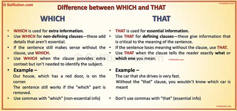 Difference Between Which And That With Examples Selftution