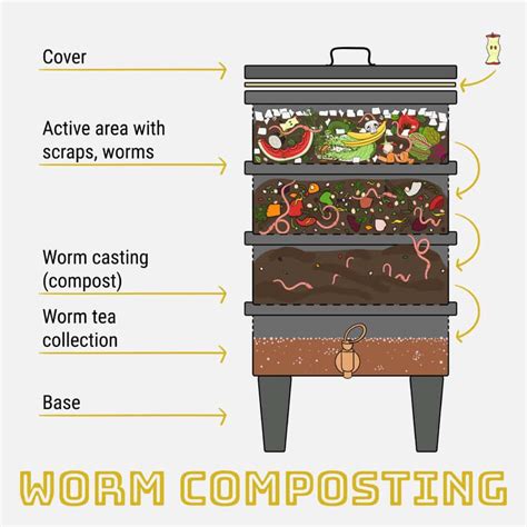 Vermicompost 7 Clever Ways To Use It In Your Garden