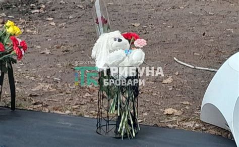 Падіння гелікоптера у Броварах у Броварах попрощались з мамою і донькою які загинули