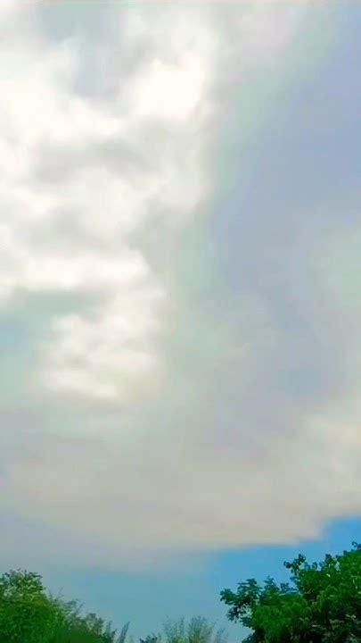 Chaluchu Hali Hali Chauchu Buli Buli Odiasatatus Please Sucrabi