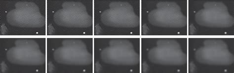 Figure 1 From An Automatic Segmentation Algorithm For High Throughput