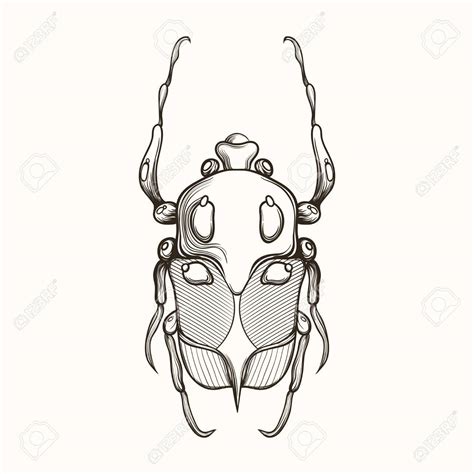 Egyptian Scarab Beetle Drawing At GetDrawings Free Download