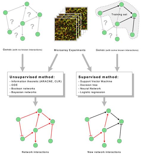 Supervised Vs Unsupervised Approaches In The Identification Of Download Scientific Diagram