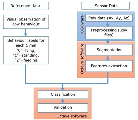 2 Data Processing And Classification Procedure Download Scientific