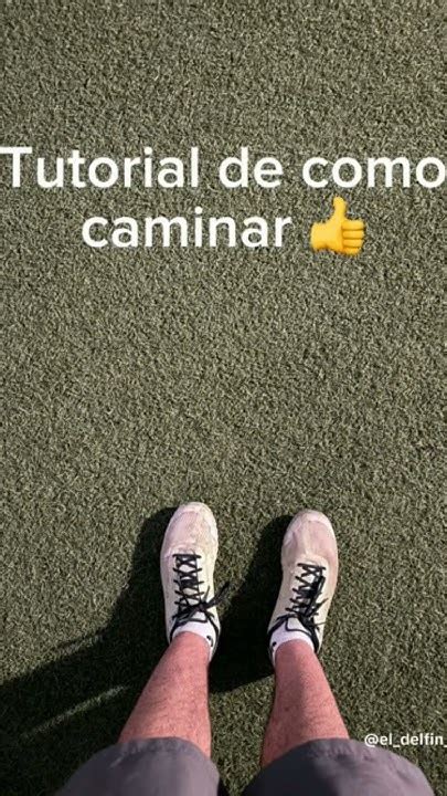 Tutorial 4 Youtube