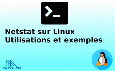 Netstat Sur Linux Utilisations Et Exemples