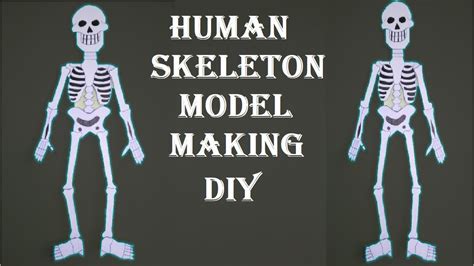 How To Make A Human Skeleton Out Of Paper Human Skeleton Halloween Riset