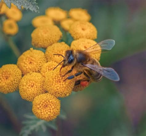 Millions Of Researchers Around The World Are Using Our Ai System Alphafold To Accelerate