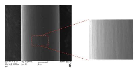 Surface Topography Of Carbon Fibers 20000 Times A Uncoated Carbon Download Scientific