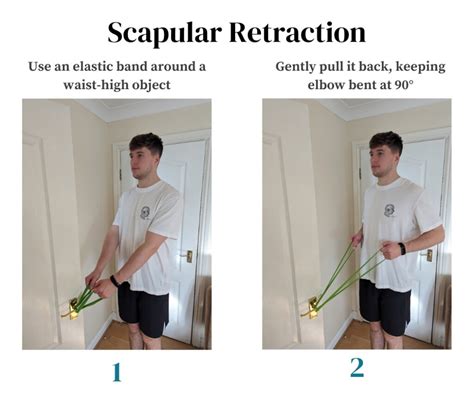 Benefits Of Scapular Retraction Exercises At William Hynes Blog