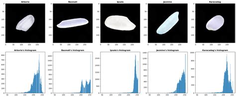 Visualization Of Datasets 1 Top Horizontal Images Show The Type Of Download Scientific
