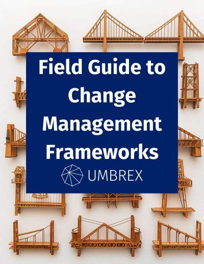 What Is The Switch Framework Umbrex