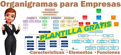 Organigramas Para Empresas Funciones Caracter Sticas 16848 Hot Sex