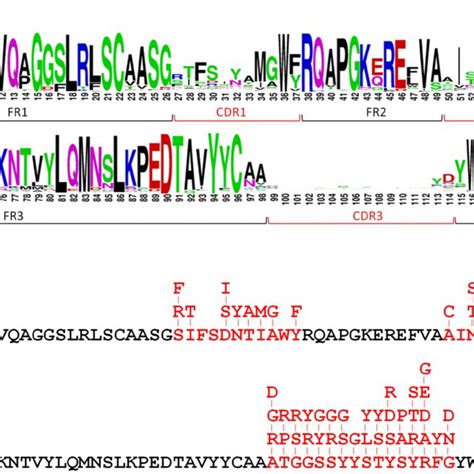 a logo representation of amino acid multiple sequence alignment of